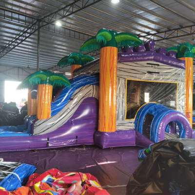 Inflatable Rentals Jacksonville | Black Knight Party Rentals